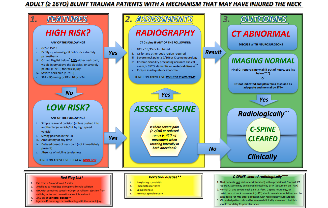 Spinal column & spinal cord injuries | Right Decisions