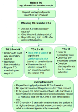 Hypertriglyceridemia | Right Decisions