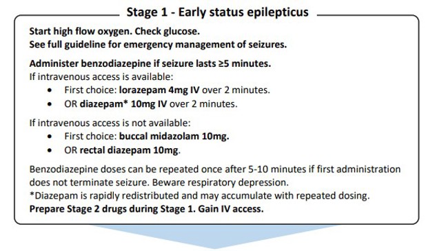 Status epilepticus | Right Decisions