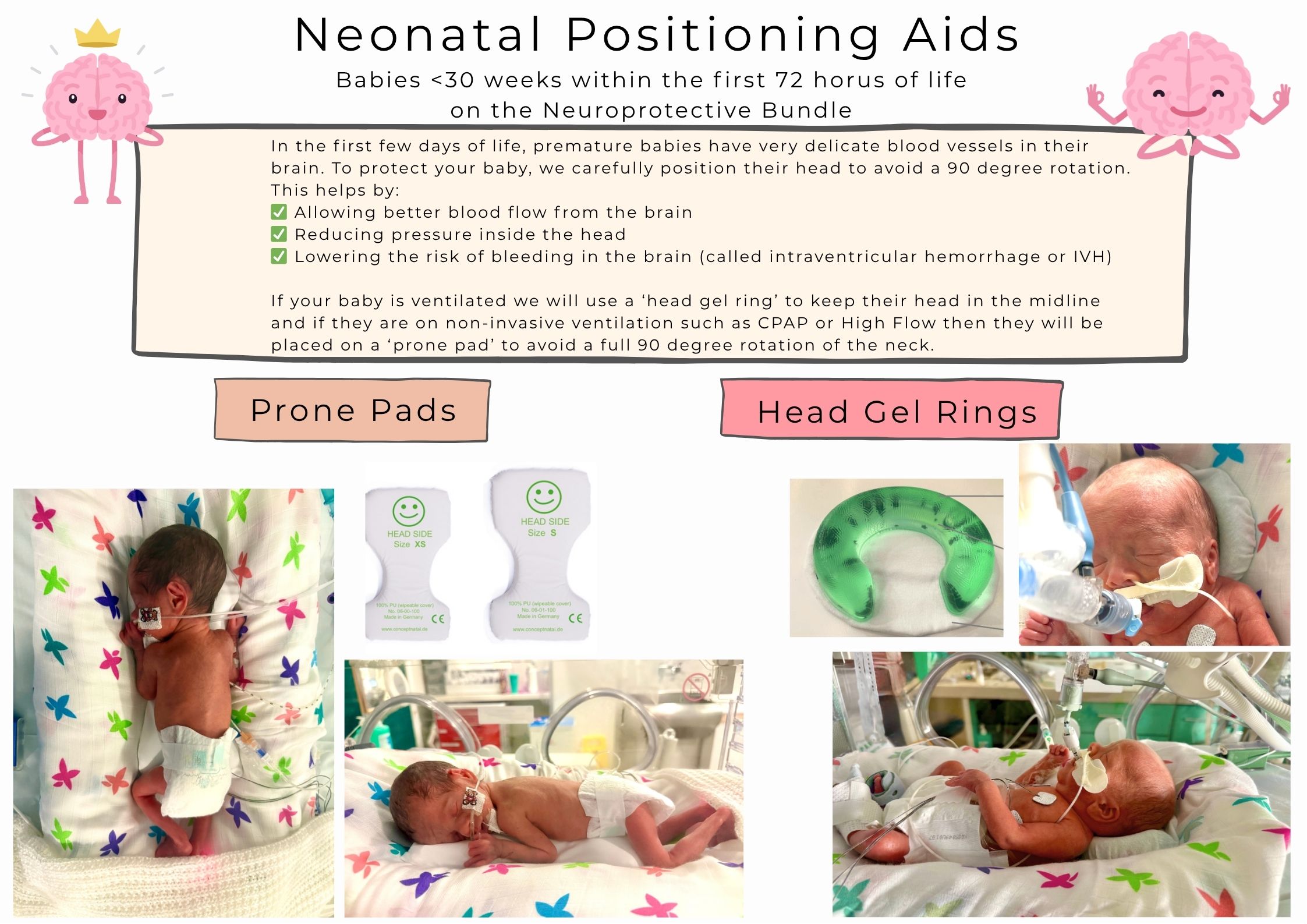 Neuroprotection Bundle | Right Decisions