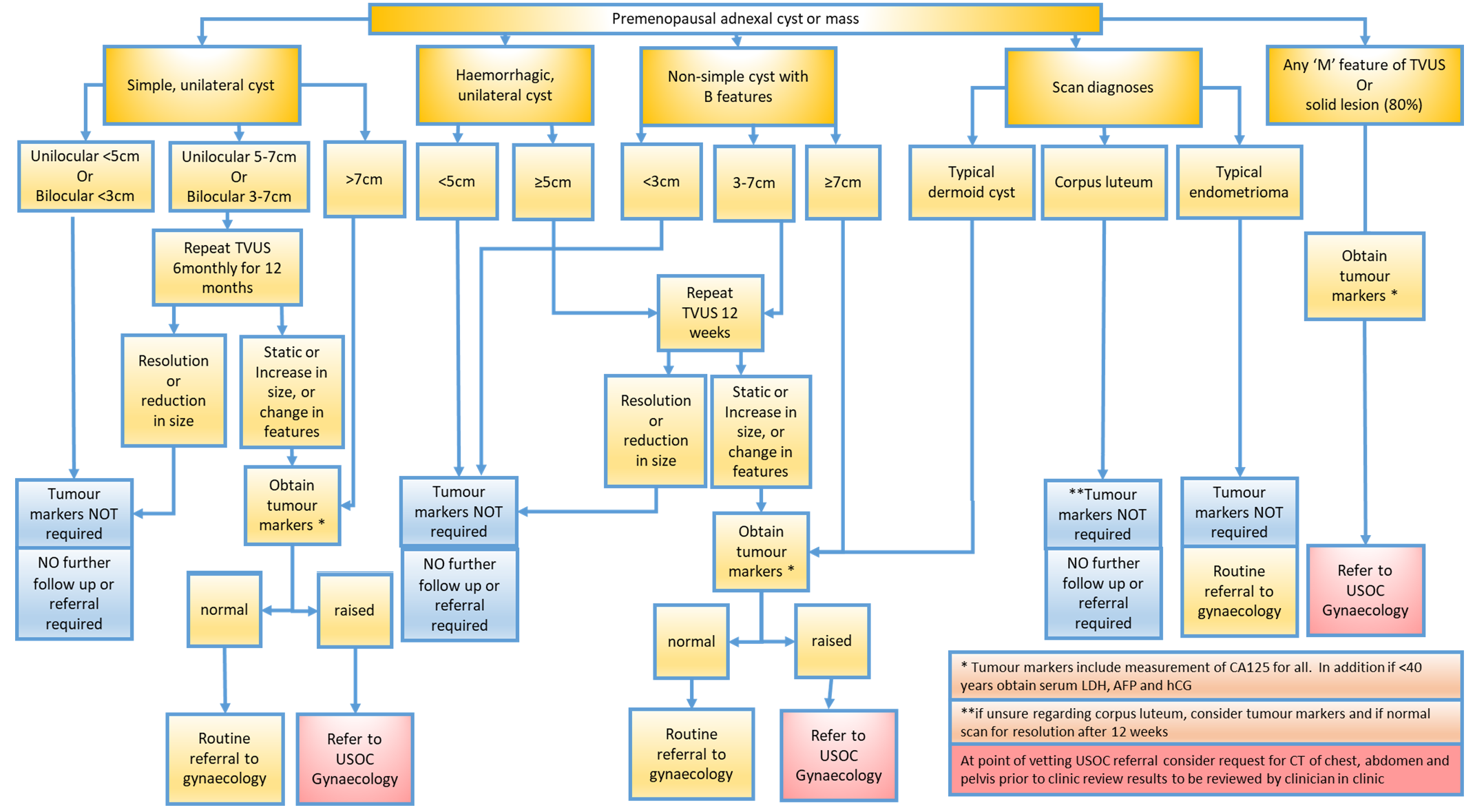 Ovarian Masses in premenopausal adults, assessment and management (514 ...