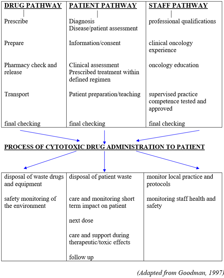 Policy and Guidelines for the Safe Prescribing, Dispensing and ...