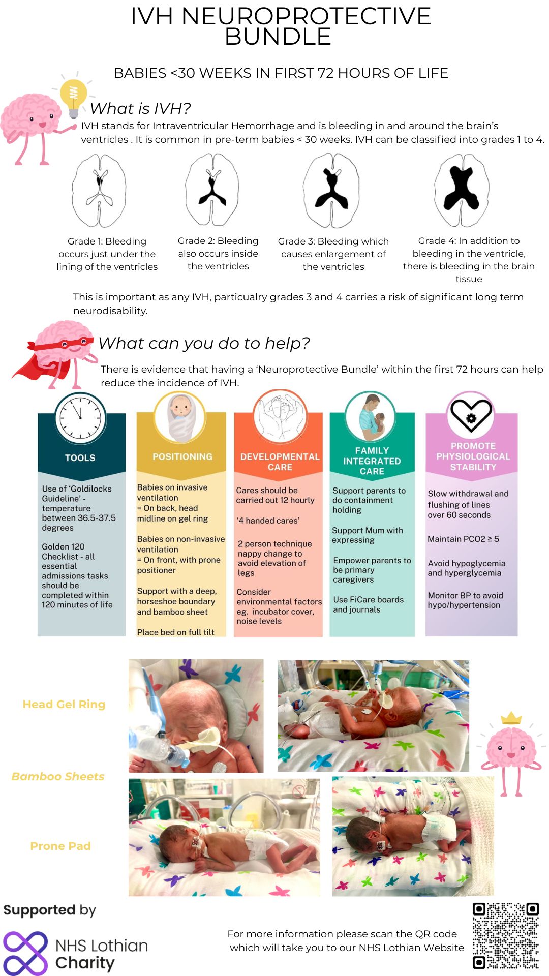 Neuroprotection Bundle | Right Decisions